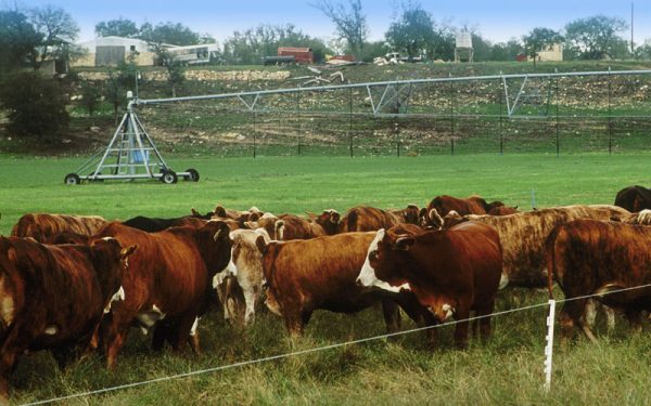 Centre Pivot Irrigation Systems – W&P Pumps