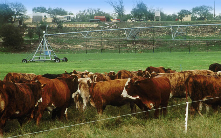 Centre Pivot Irrigation Systems – W&P Pumps